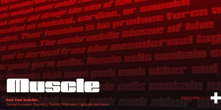 Muscle Font | Font Download